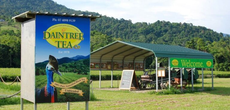 Farmgate Stall - Daintree Tea